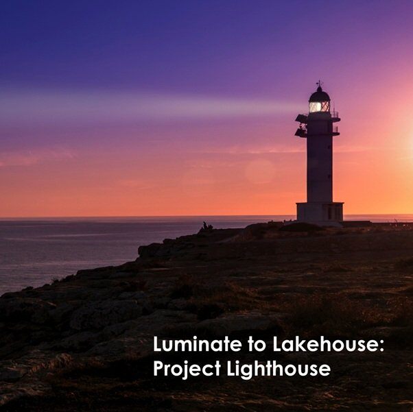 Project Lighthouse: Leveraging Walmart Luminate for Data-Driven ...